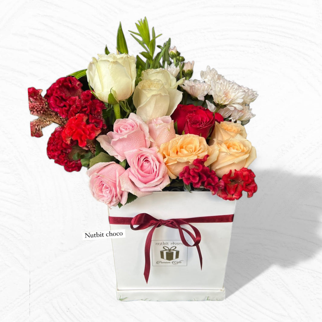 Nutbit Choco | Gifting Solutions for all your occasions