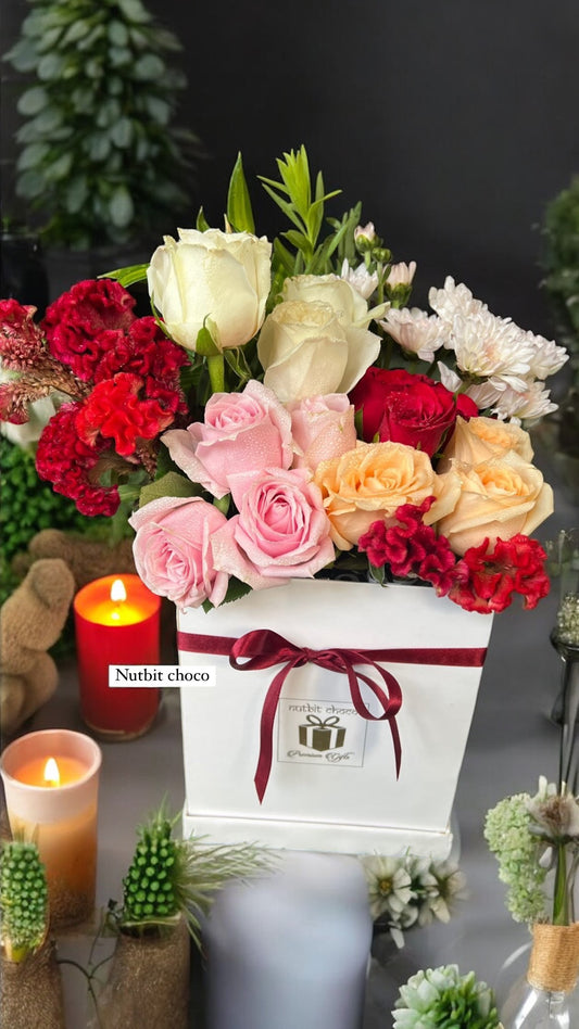 Nutbit Choco | Gifting Solutions for all your occasions